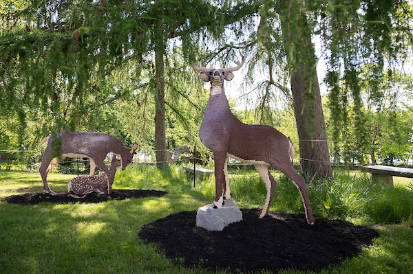Tuesdays in the Garden - Oh, Deer! | Newport Mansions
