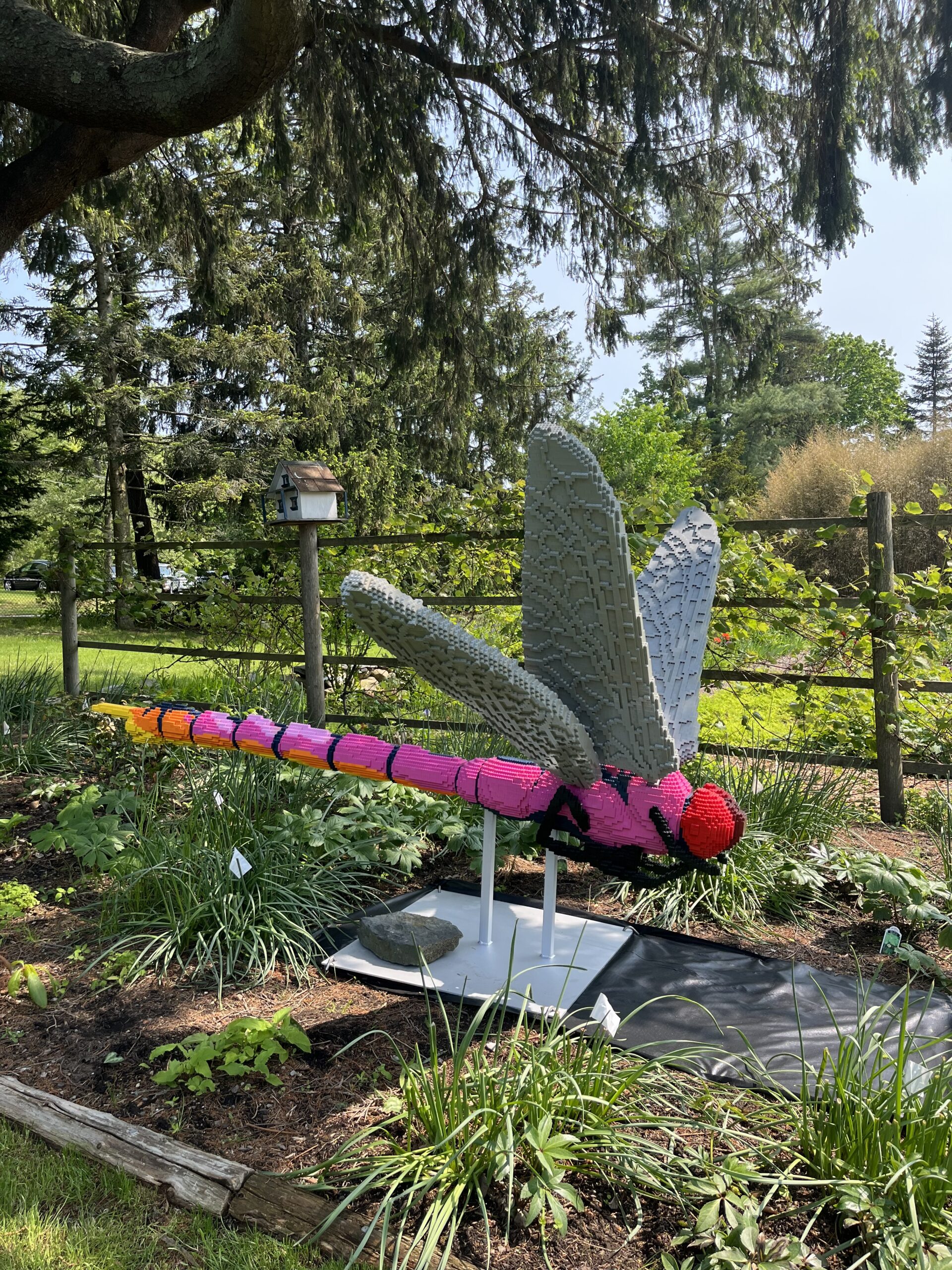 Tuesdays in the Garden - Build a Bug | Newport Mansions