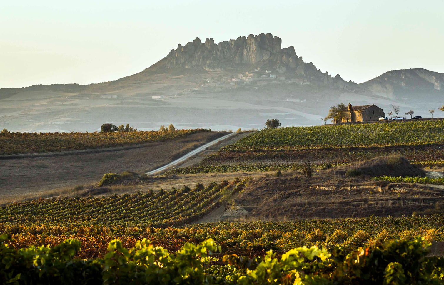 Seminar 13: Discover the Riches of Rioja Alta | Newport Mansions
