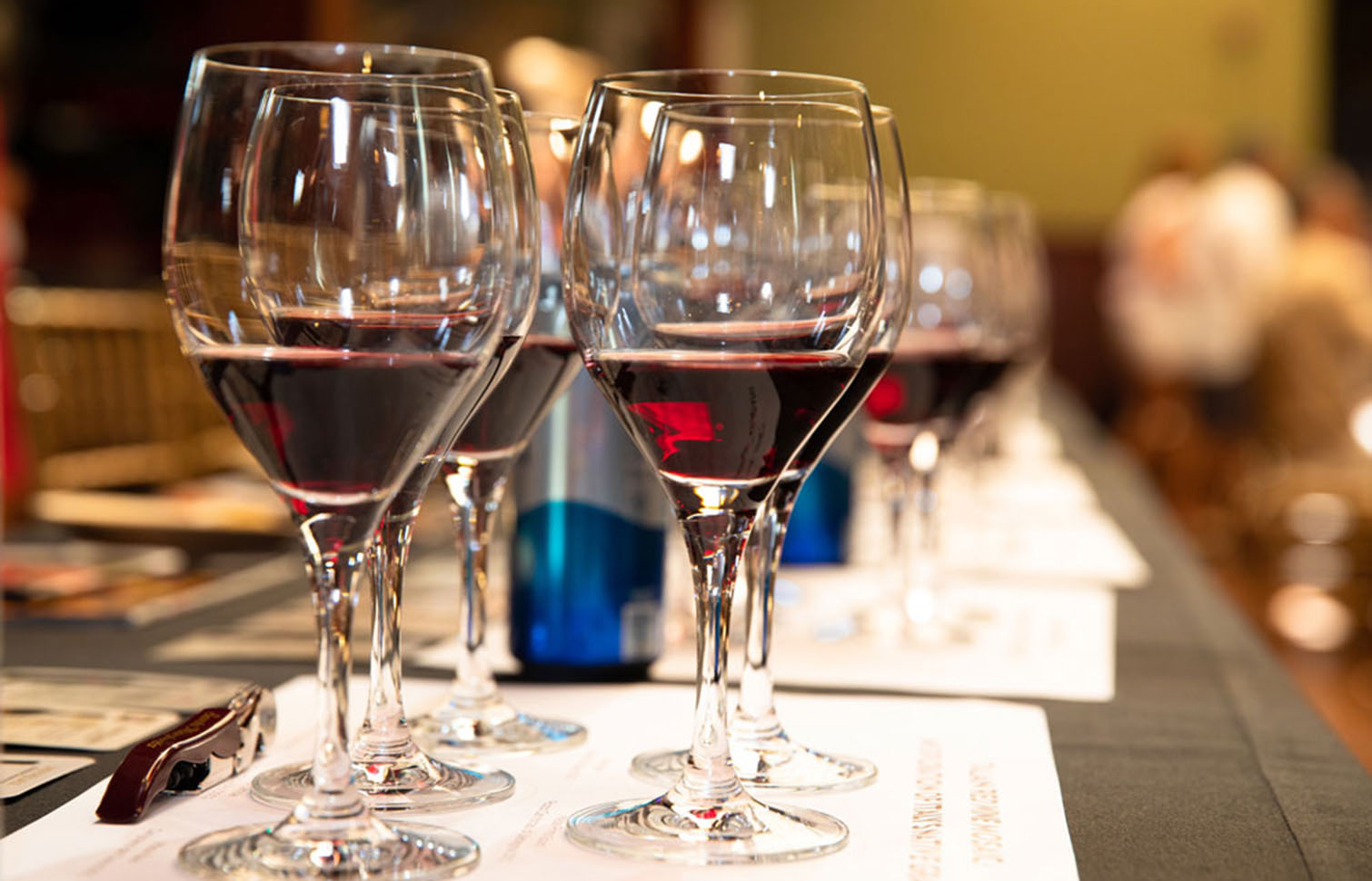 Seminar 17: A Pinot Noir Grand Tour | Newport Mansions