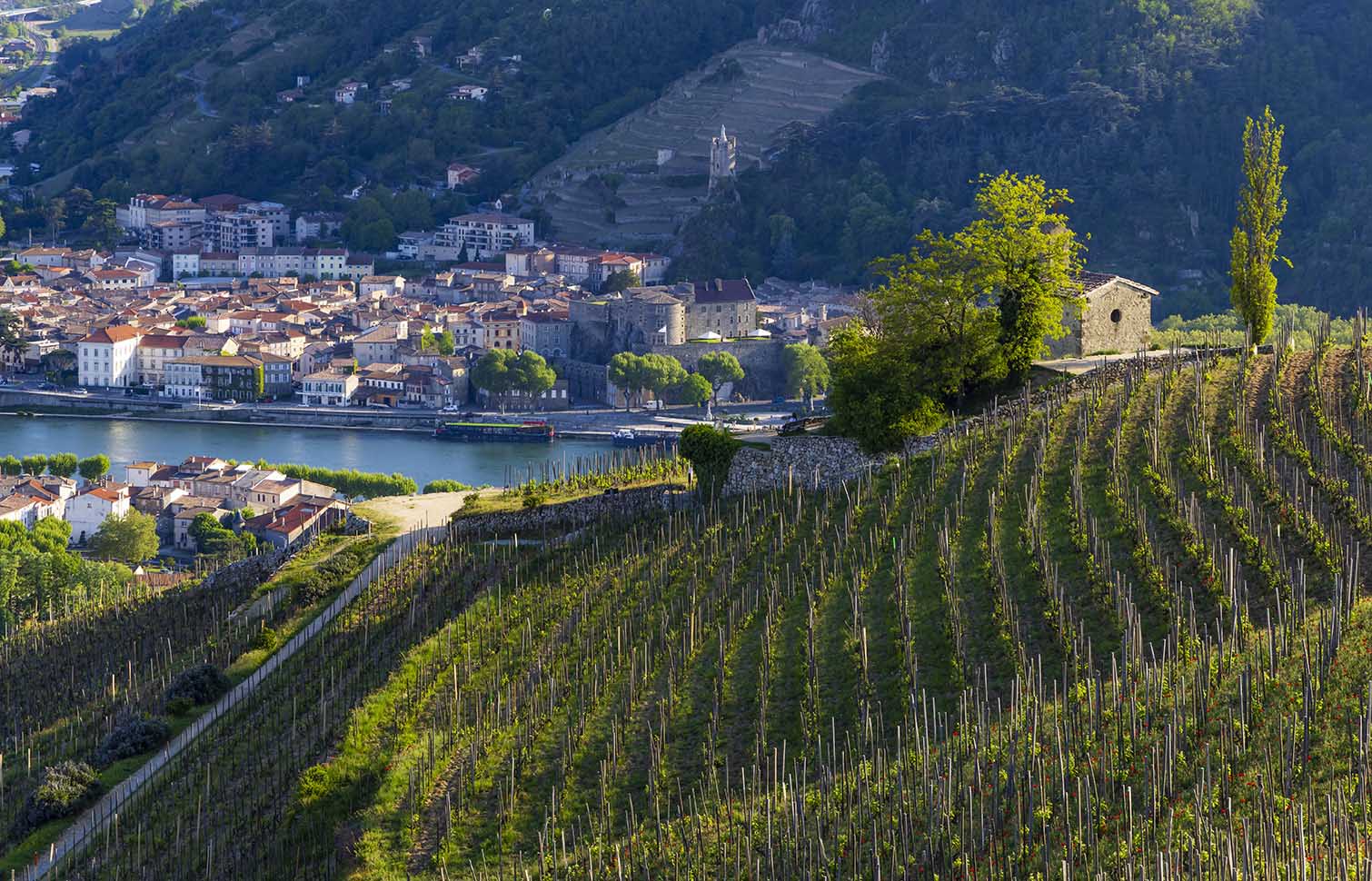 Seminar 21: Rhone Valley Vineyards | Newport Mansions